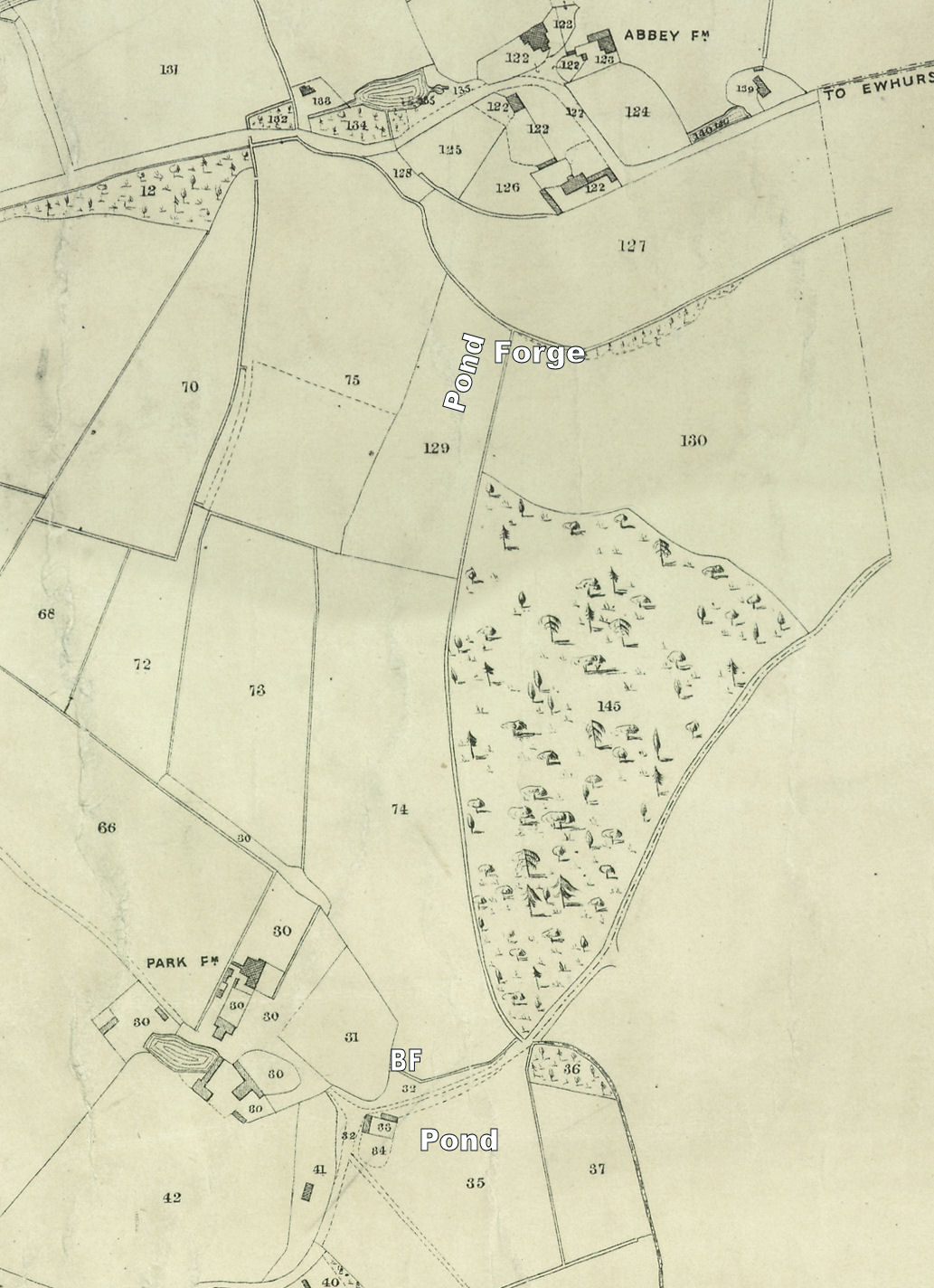 WIRG Robertsbridge Project - Maps
