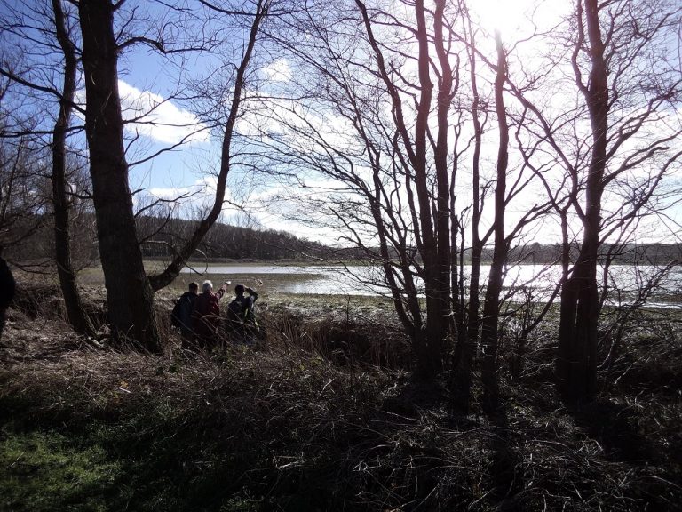 Robertsbridge – Maps – Wealden Iron Research Group